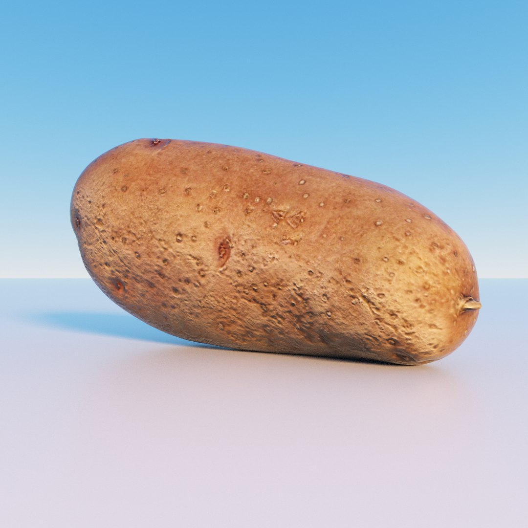 Photorealistic 3D Scan Of Potato 3D Model - TurboSquid 2230773