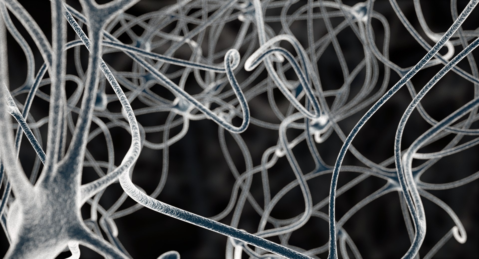 3D Nerves Neurons Animation | 1144383 | TurboSquid