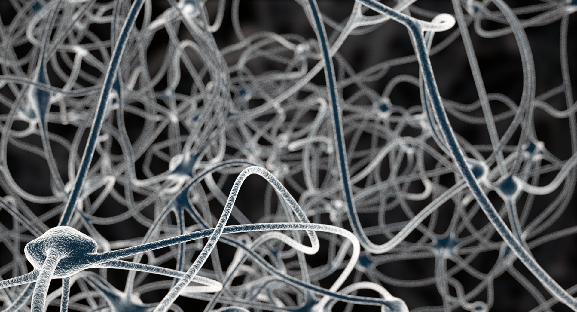 3D Nerves Neurons Animation | 1144383 | TurboSquid
