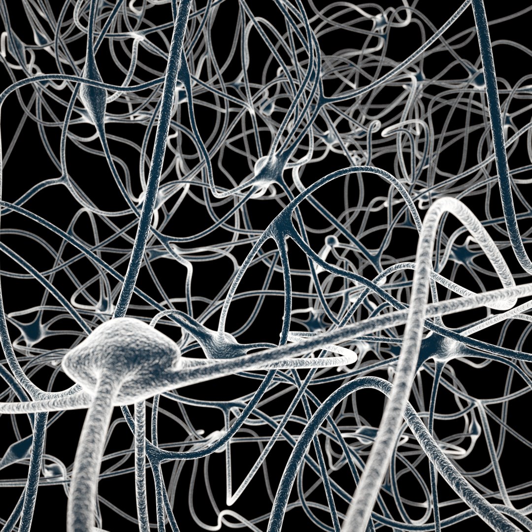 3D Nerves Neurons Animation | 1144383 | TurboSquid