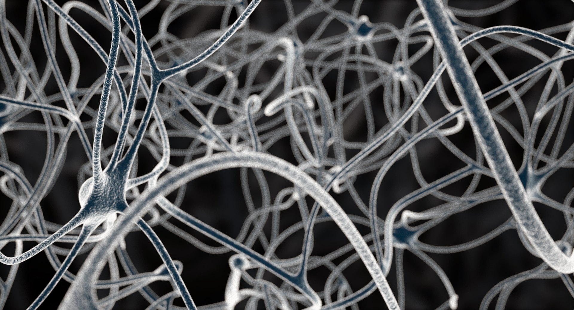 3D Nerves Neurons Animation | 1144383 | TurboSquid