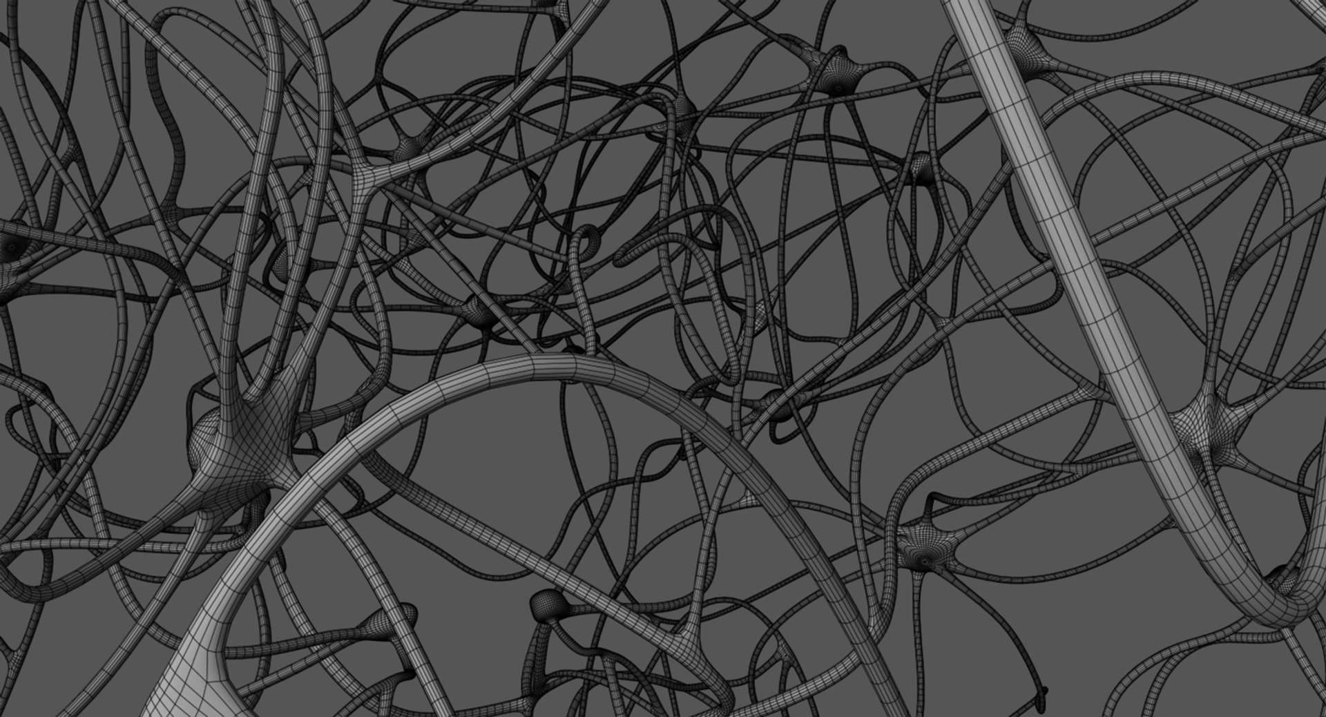 3D Nerves Neurons Animation | 1144383 | TurboSquid
