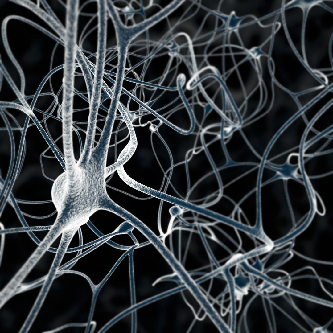 3D Nerves Neurons Animation | 1144383 | TurboSquid