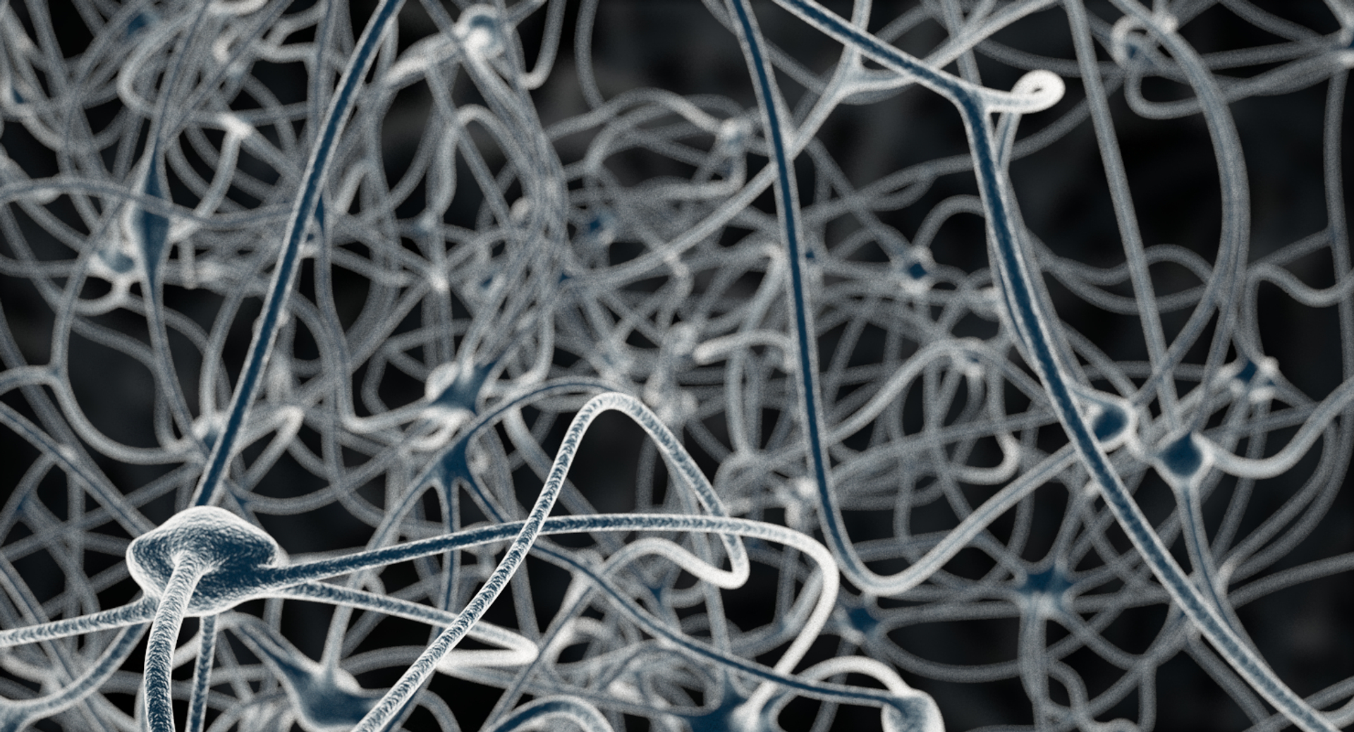 3D Nerves Neurons Animation | 1144383 | TurboSquid