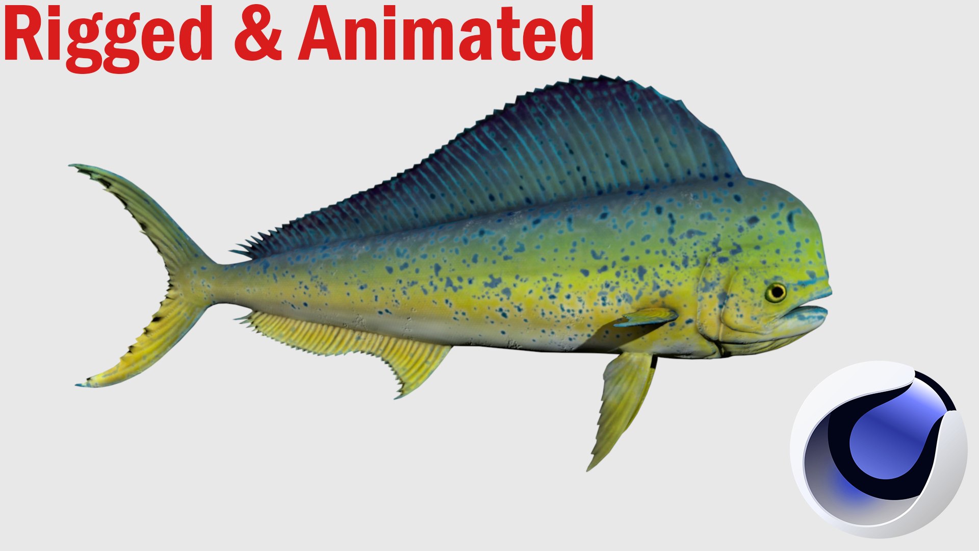 3D Mahi Fish Model - TurboSquid 2335759
