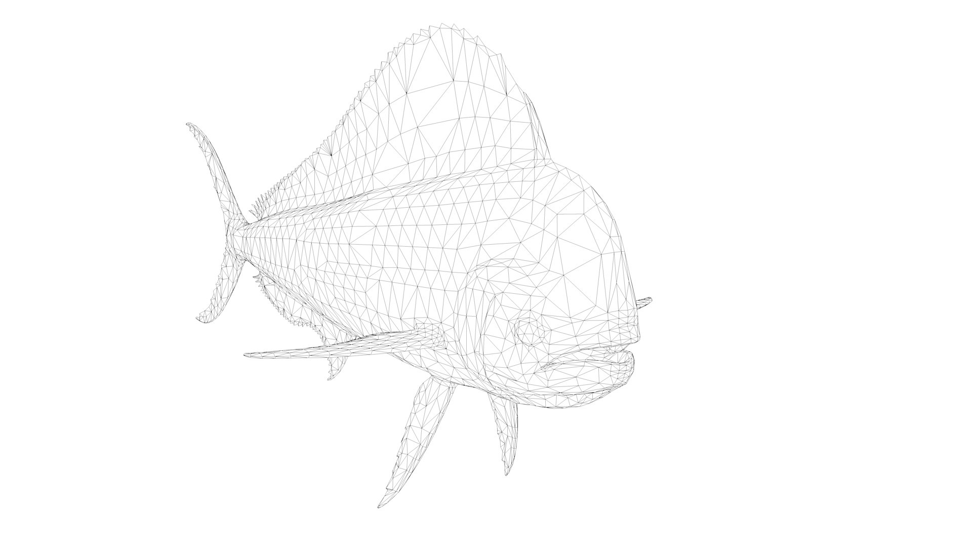 3D Mahi Fish Model - TurboSquid 2335759