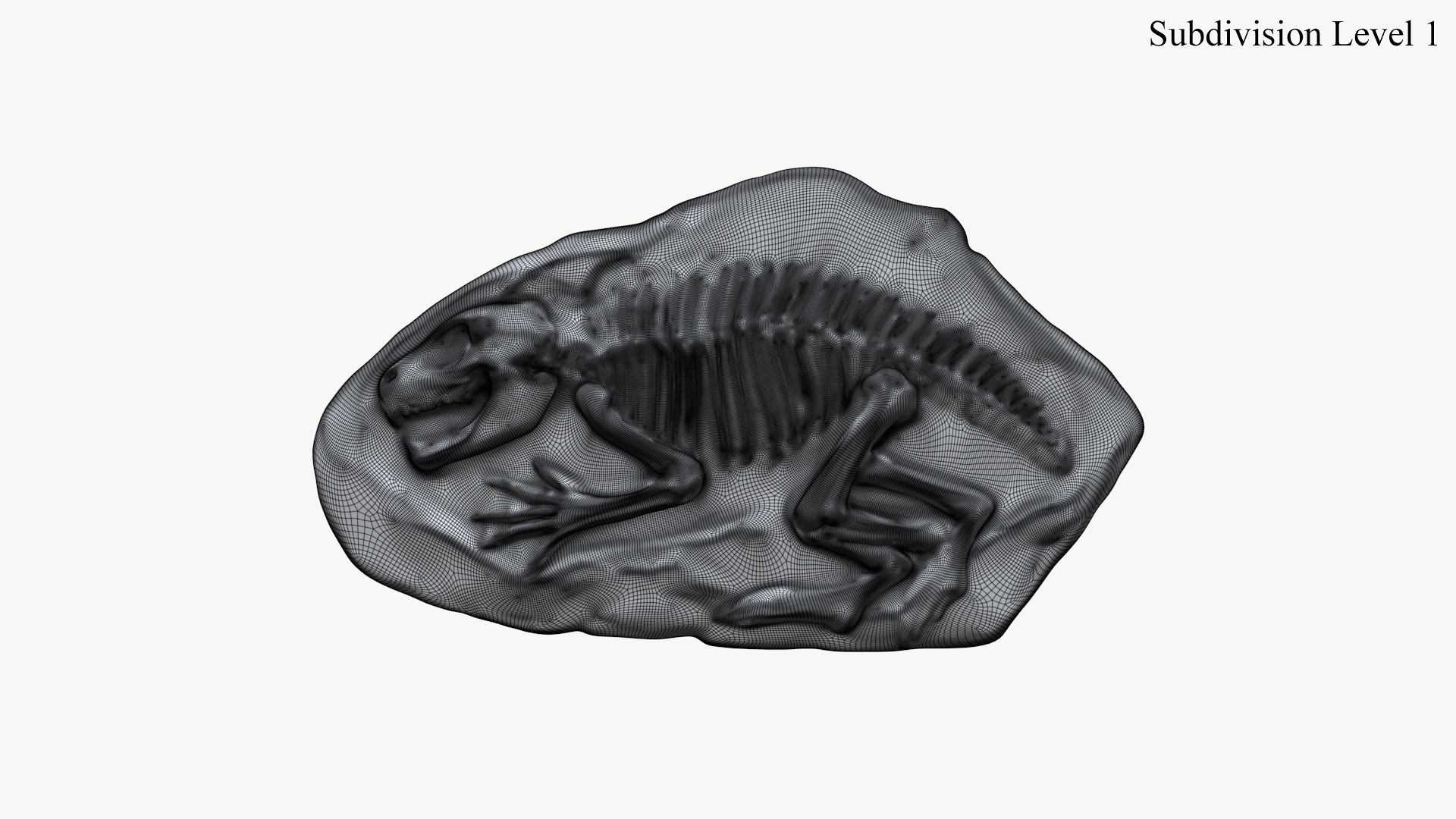 3D Fossil Ancient Animal 002 Textured - TurboSquid 2298455