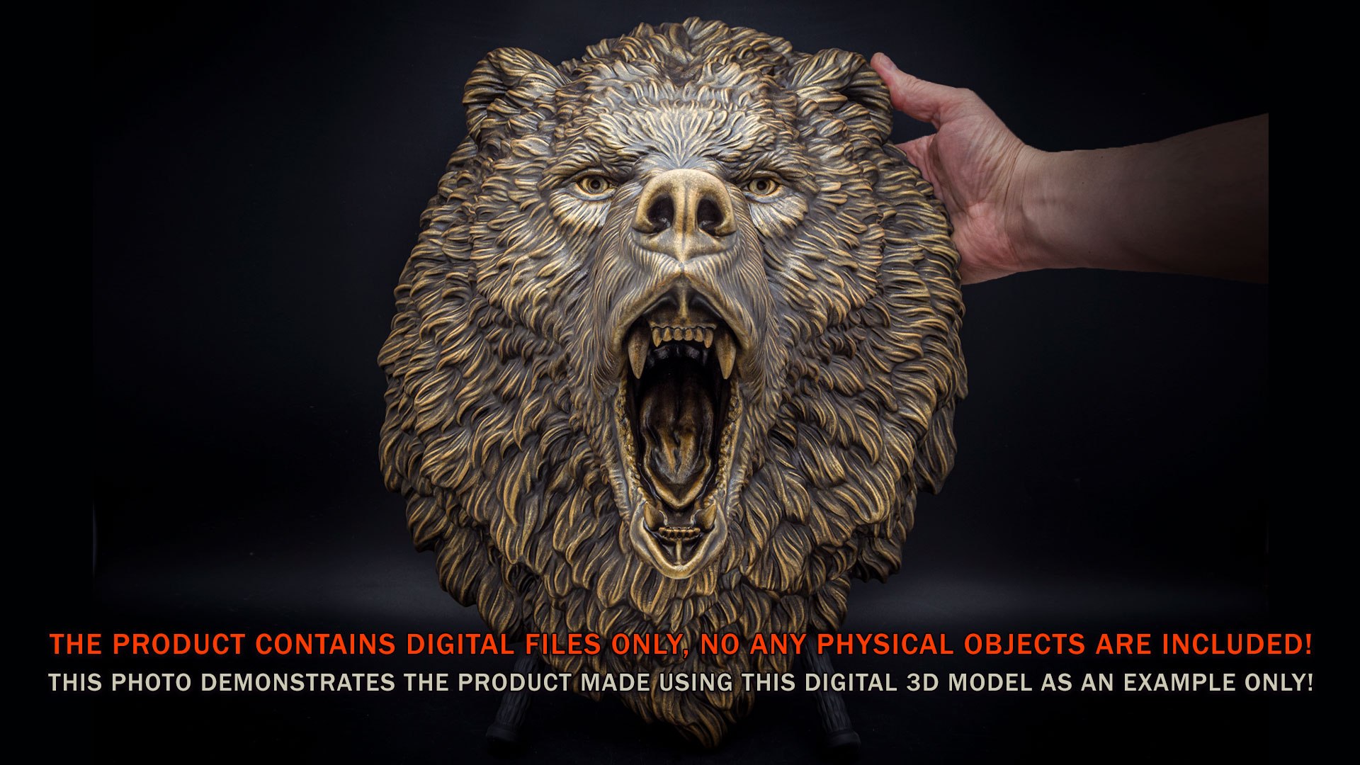 Angry Bear Animal Head Model - TurboSquid 1444438