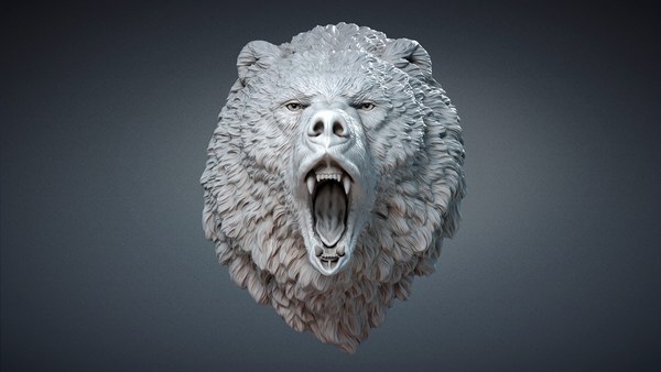 Angry bear animal head model - TurboSquid 1444438