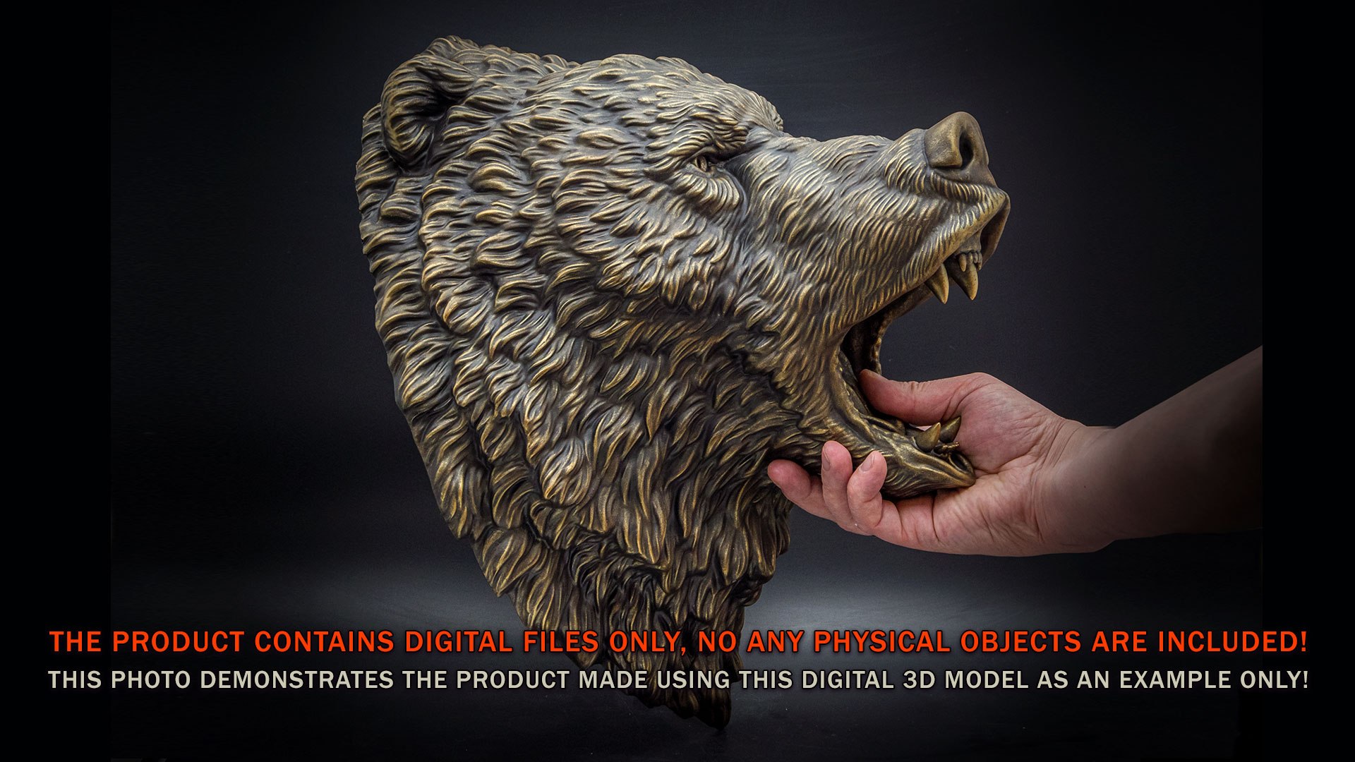 Angry Bear Animal Head Model - TurboSquid 1444438