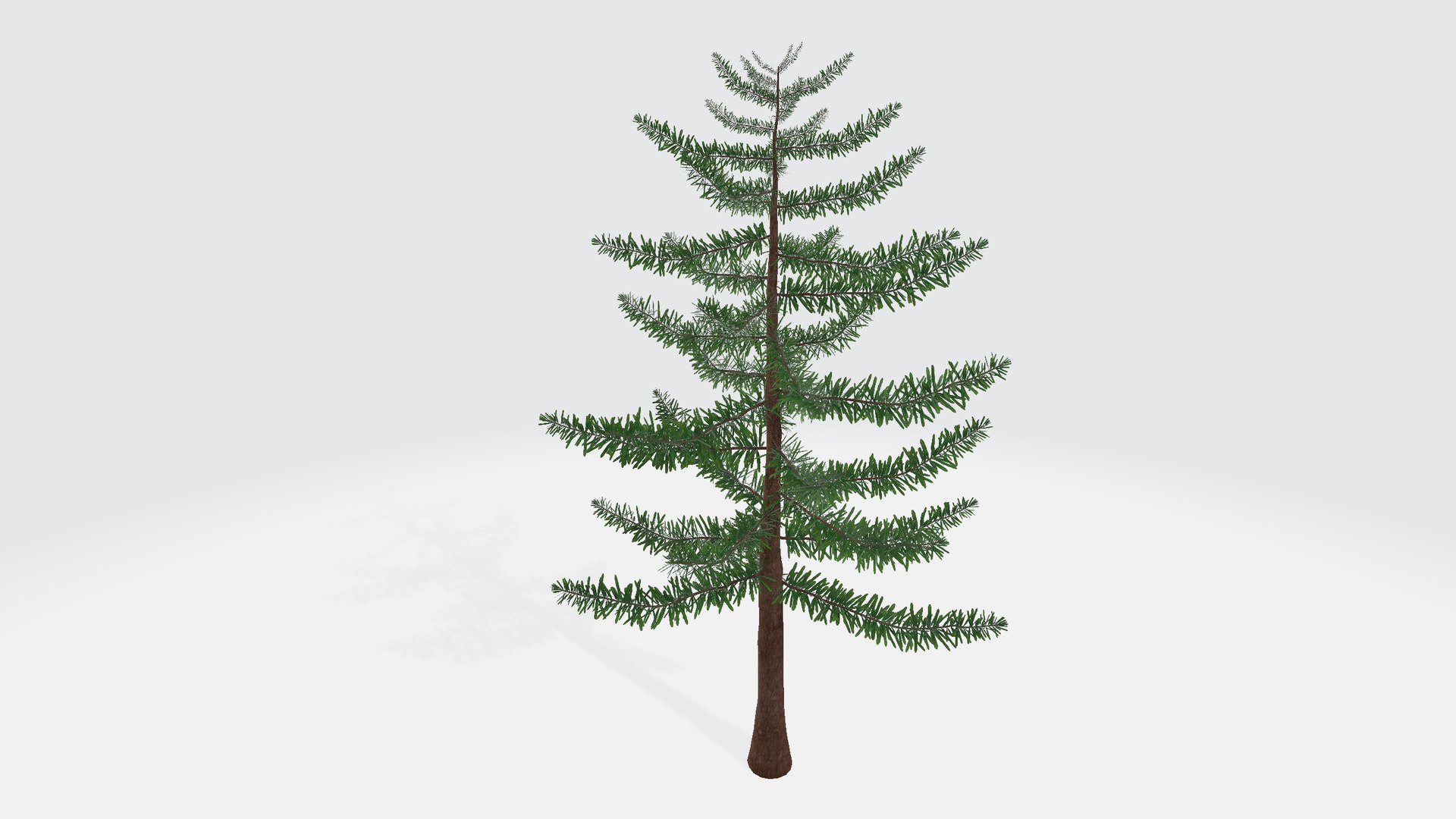 Evergreen Tree 3D - TurboSquid 2331139
