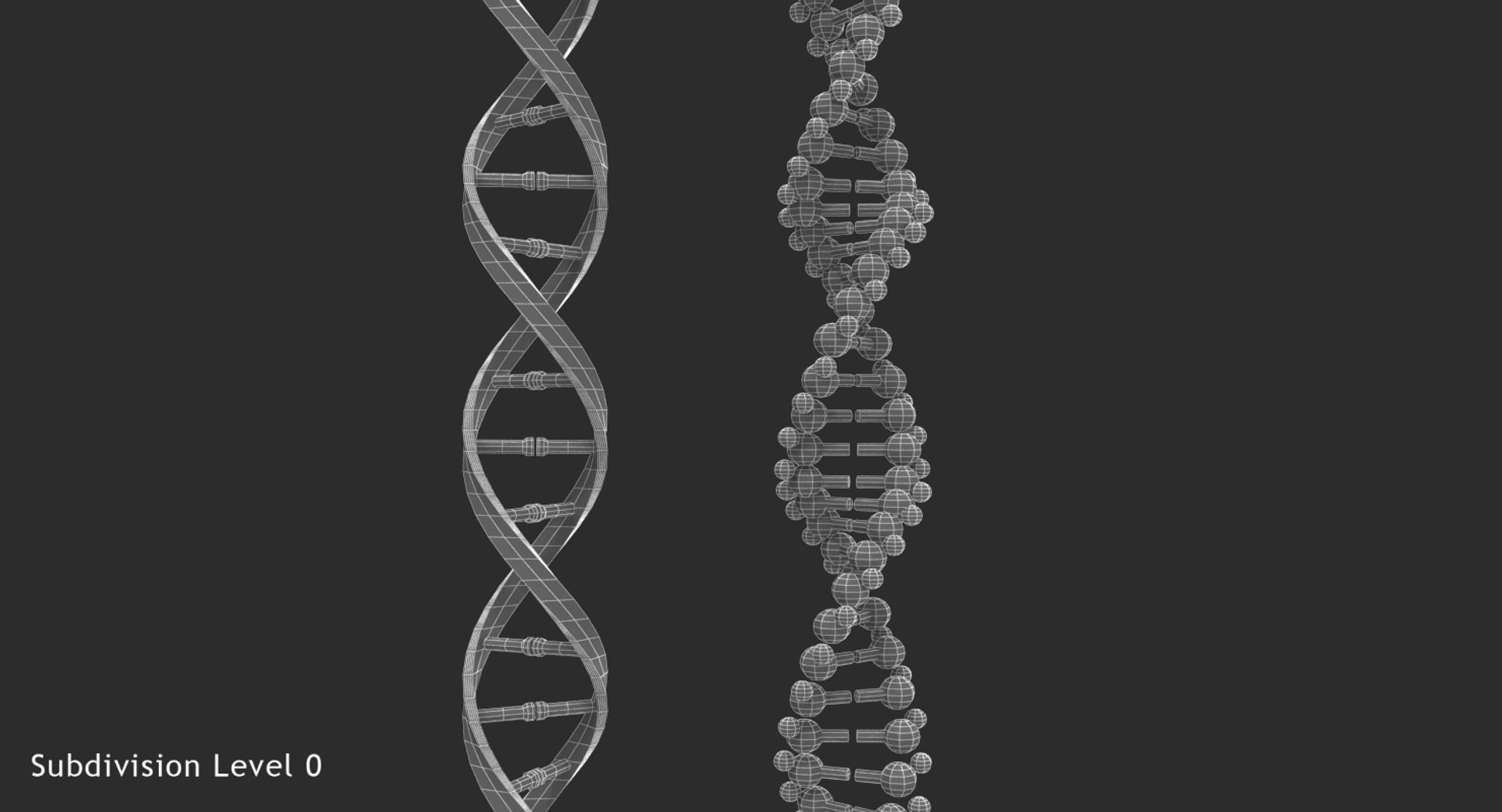 3D Dna Strand Model - TurboSquid 1271487