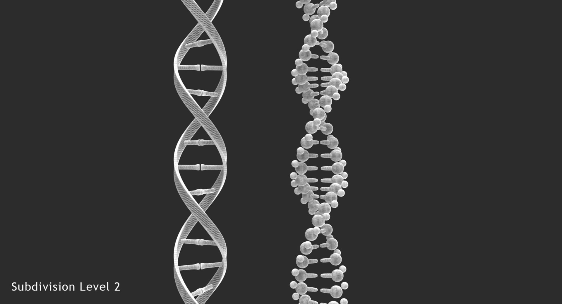3D Dna Strand Model - TurboSquid 1271487