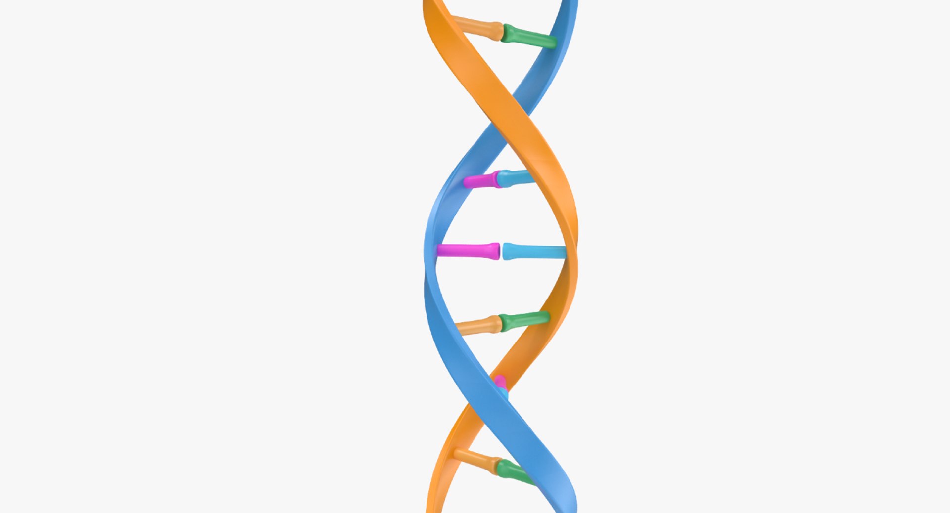 3D Dna Strand Model - TurboSquid 1271487