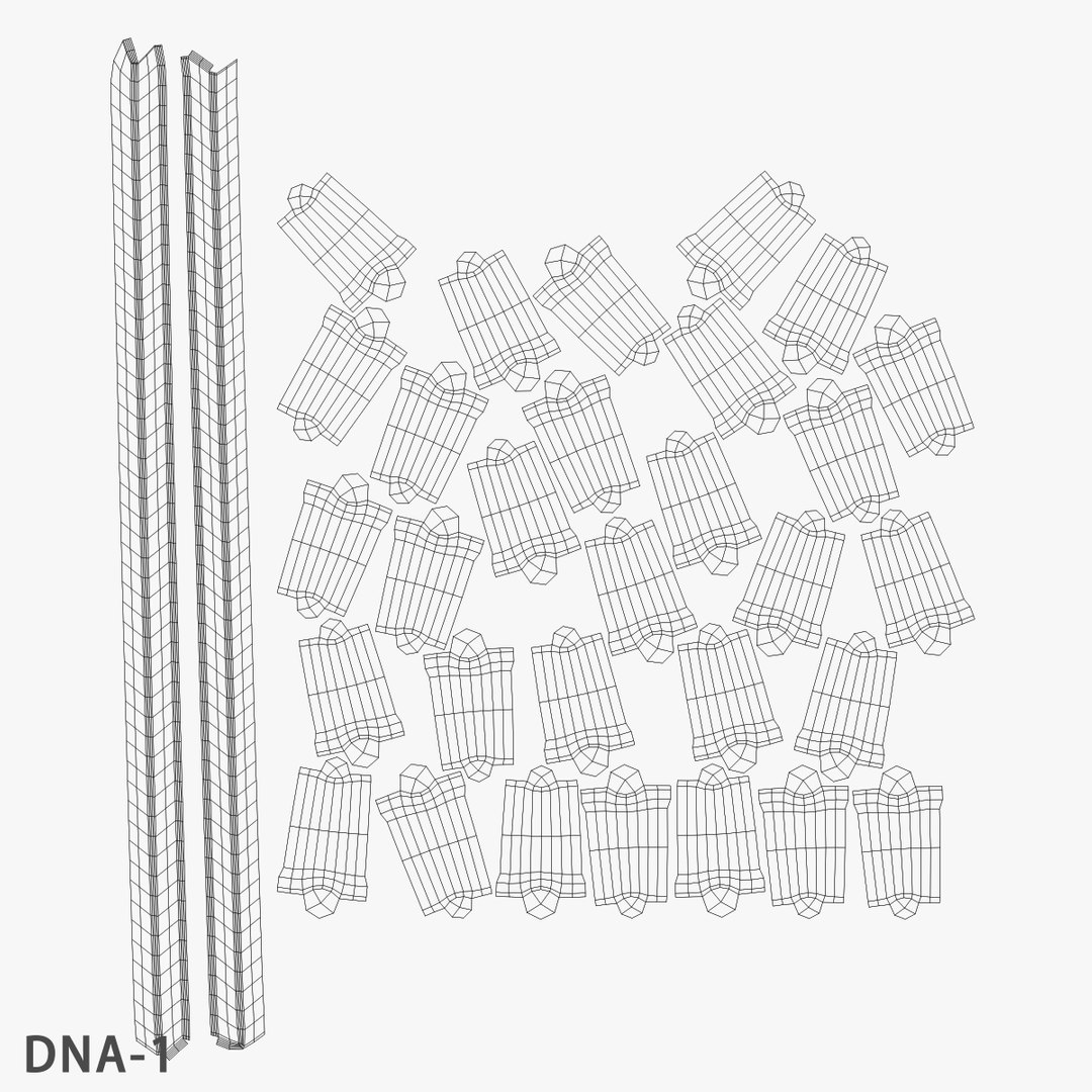 3D Dna Strand Model - TurboSquid 1271487
