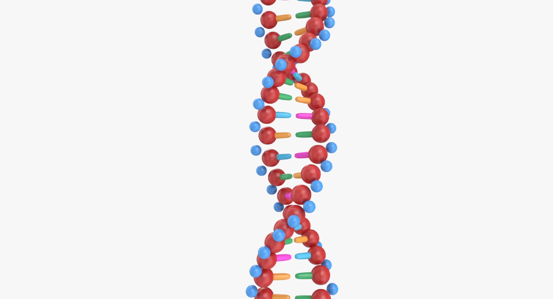 3D Dna Strand Model - TurboSquid 1271487