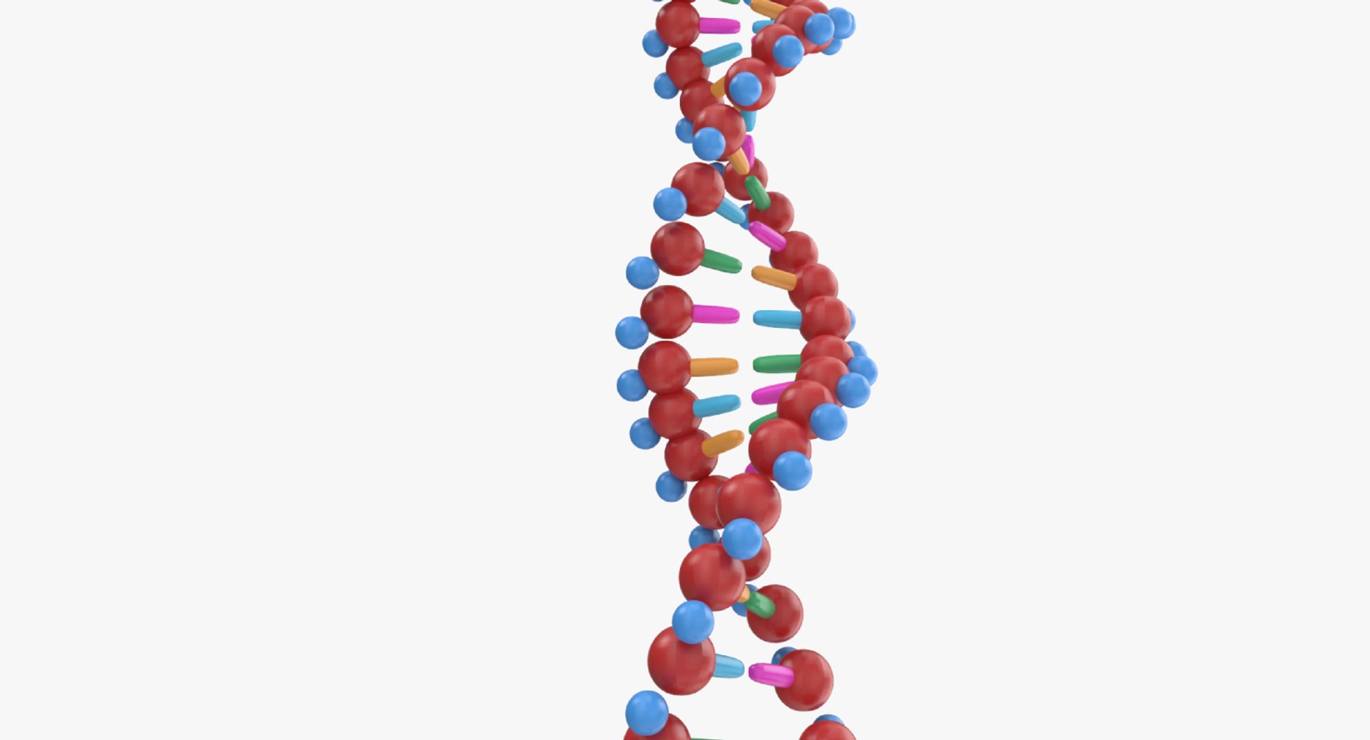 3D Dna Strand Model - TurboSquid 1271487