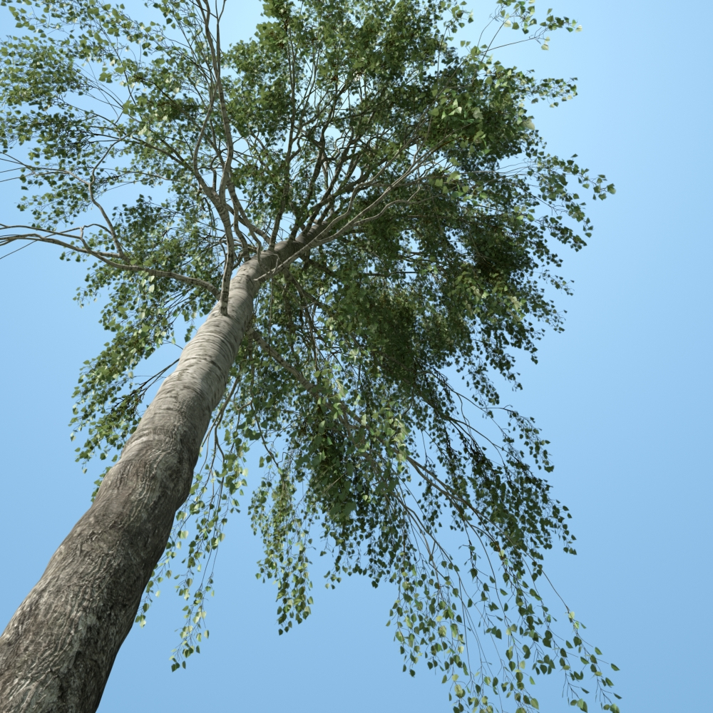 3d archmodels vol 163 trees