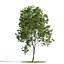 3d Archmodels Vol 163 Trees
