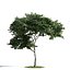 3d Archmodels Vol 163 Trees