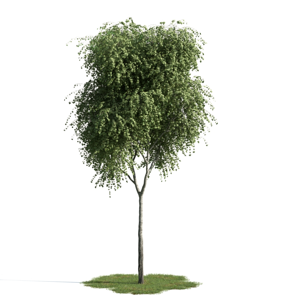 3d archmodels vol 163 trees