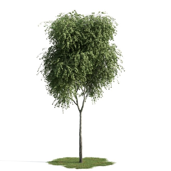 3d archmodels vol 163 trees