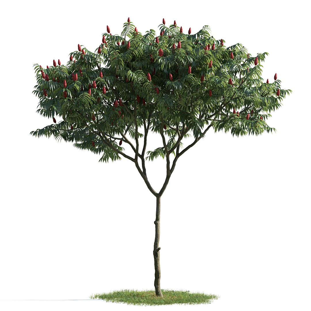 3d archmodels vol 163 trees
