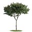 3d Archmodels Vol 163 Trees