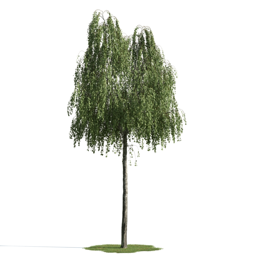 3d archmodels vol 163 trees