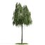 3d Archmodels Vol 163 Trees