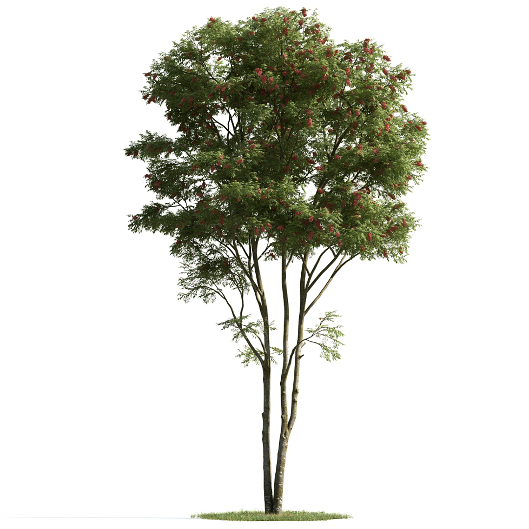 3d archmodels vol 163 trees