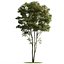 3d Archmodels Vol 163 Trees