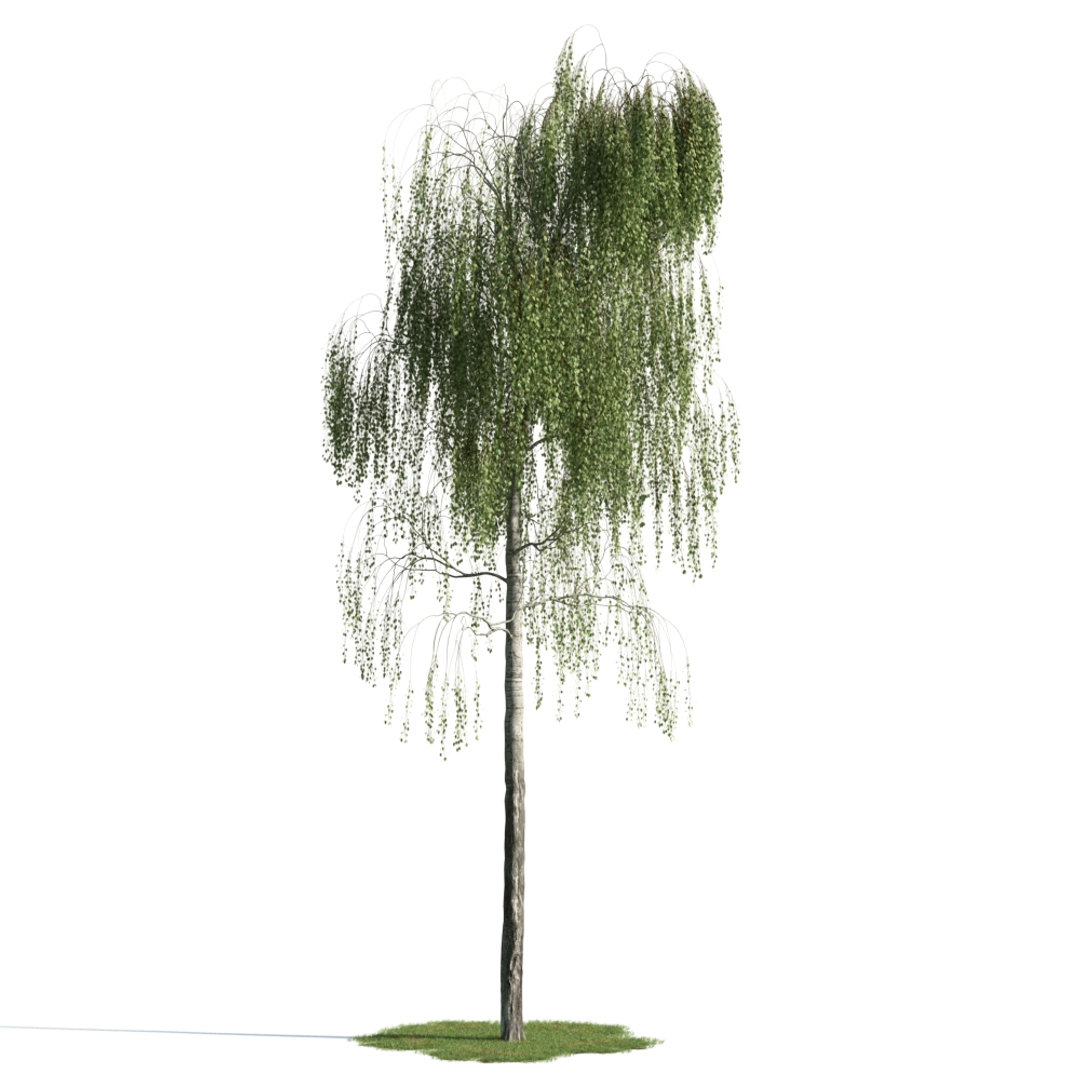 3d archmodels vol 163 trees