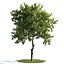 3d Archmodels Vol 163 Trees