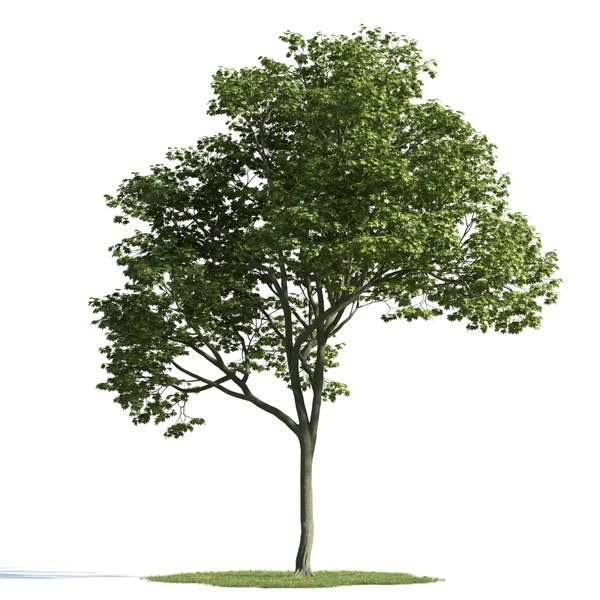 3d archmodels vol 163 trees
