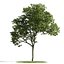 3d Archmodels Vol 163 Trees