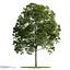 3d Archmodels Vol 163 Trees