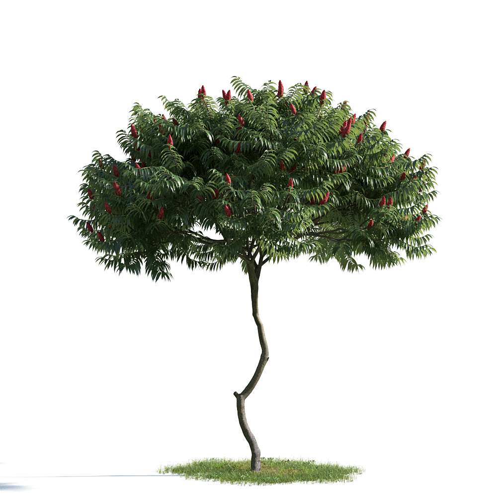3d archmodels vol 163 trees