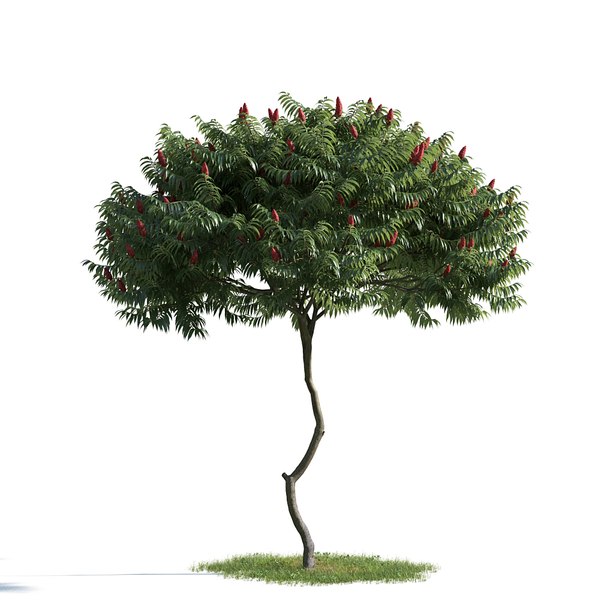 3d archmodels vol 163 trees