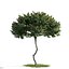 3d Archmodels Vol 163 Trees