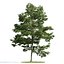 3d Archmodels Vol 163 Trees