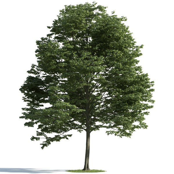 3d archmodels vol 163 trees