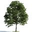 3d Archmodels Vol 163 Trees