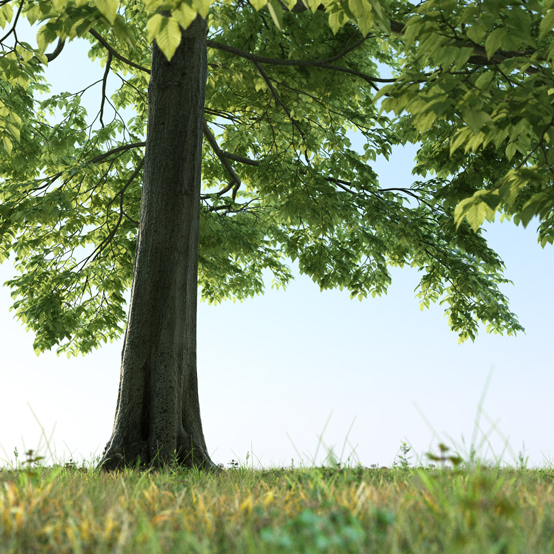 3d archmodels vol 163 trees