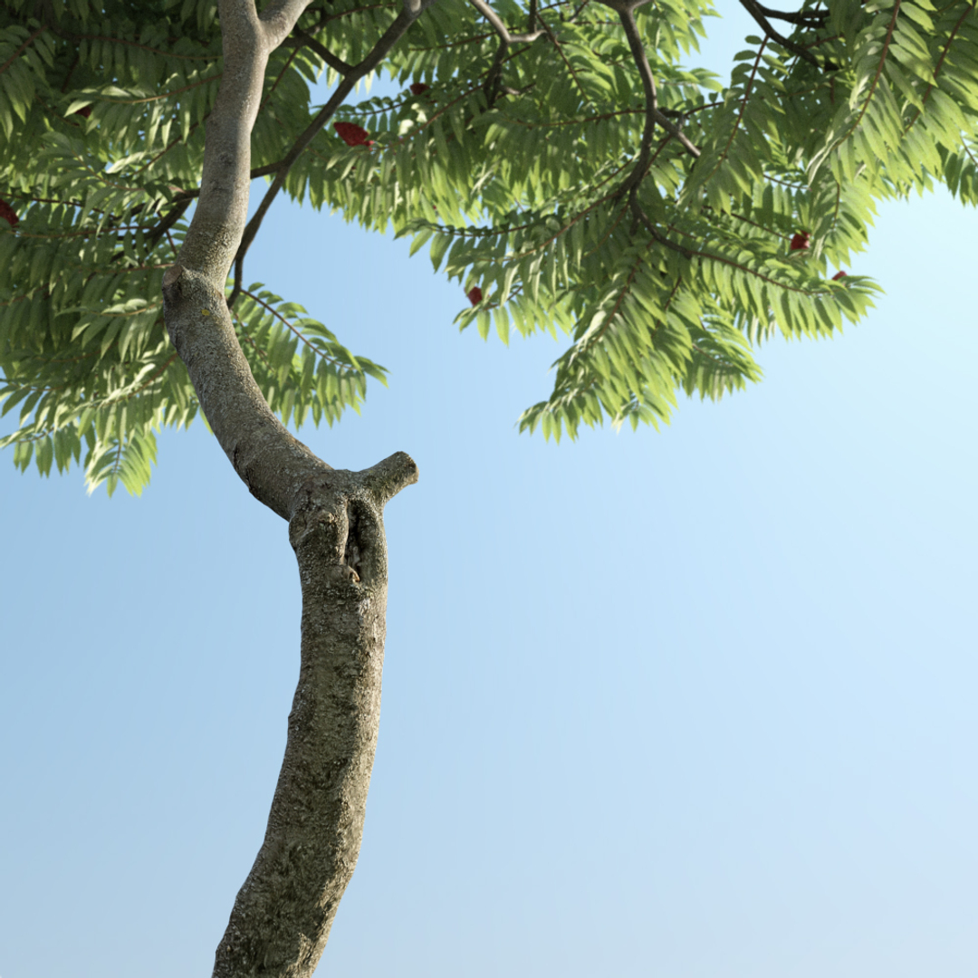 3d archmodels vol 163 trees