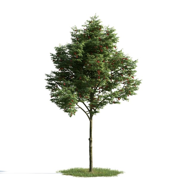 3d archmodels vol 163 trees