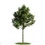 3d Archmodels Vol 163 Trees