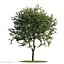 3d Archmodels Vol 163 Trees