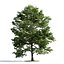 3d Archmodels Vol 163 Trees