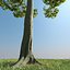 3d Archmodels Vol 163 Trees